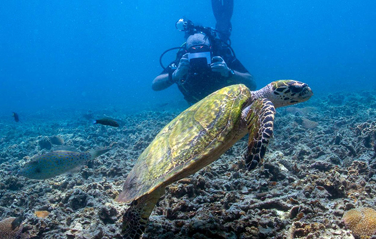 Fun Diving - Diving Package: 6 dives - (3 Days ) - Villa Sabai Jai